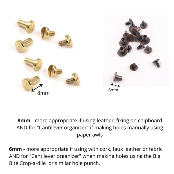 Chicago screws (set of 8) - Colorway Arts